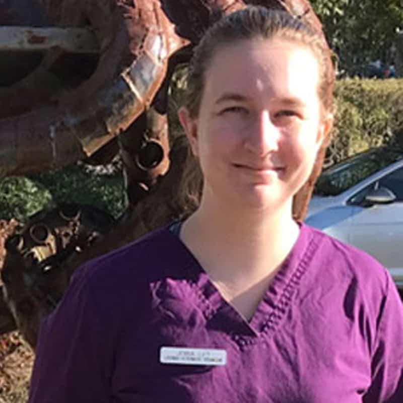 Team - Vet in Mount Pleasant | Safe Harbor Animal Hospital