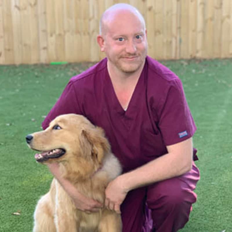 Team - Vet in Mount Pleasant | Safe Harbor Animal Hospital
