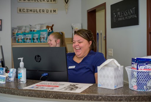 Job Opportunities With Safe Harbor Animal Hospital SC