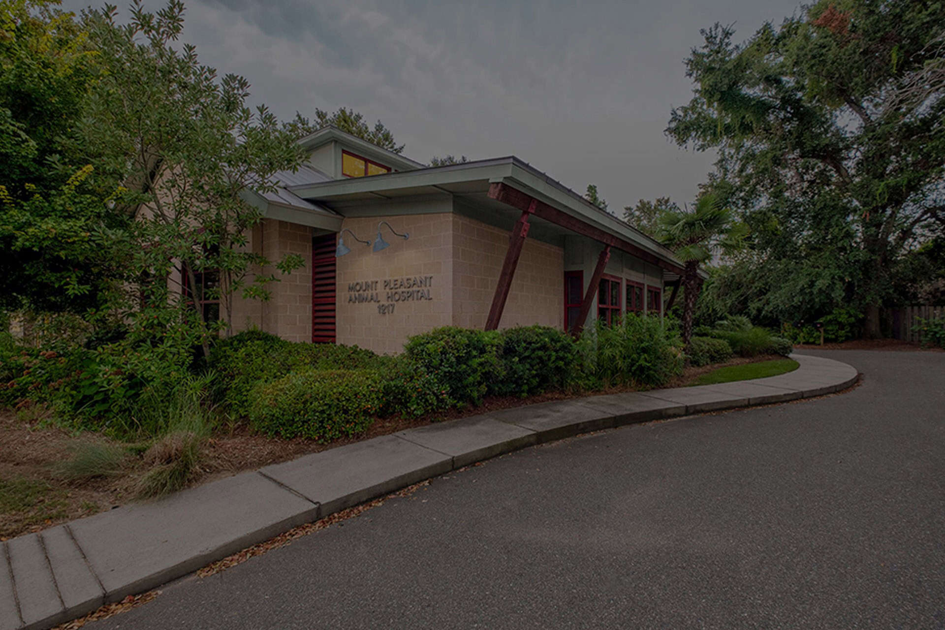 Story - Vet in Mount Pleasant | Safe Harbor Animal Hospital