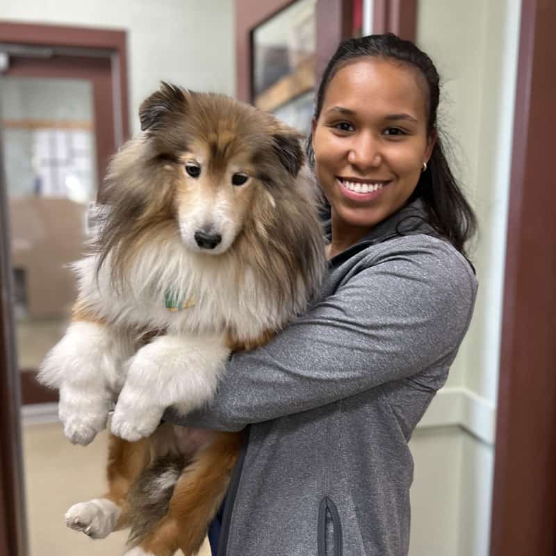 Team - Vet in Mount Pleasant | Safe Harbor Animal Hospital