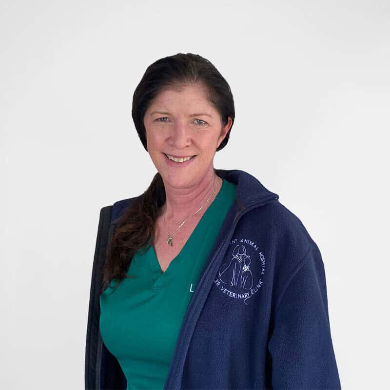 Team - Vet in Mount Pleasant | Safe Harbor Animal Hospital