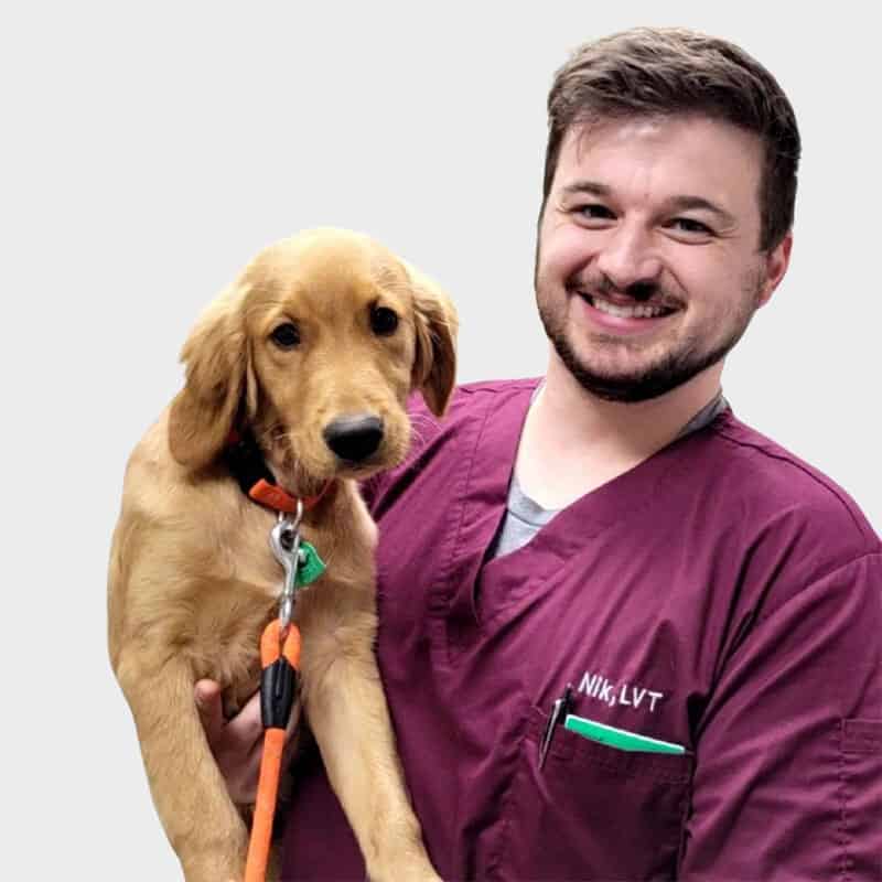 Team – Safe Harbor Animal Hospital