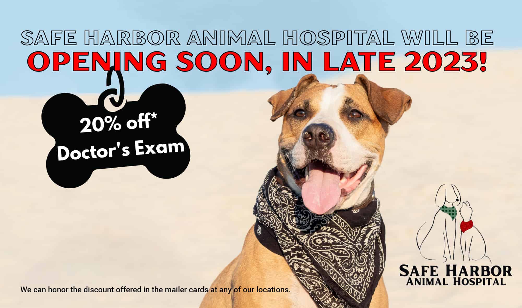 Veterinarian in Mount Pleasant | Vets Near Me | Safe Harbor Animal Hospital