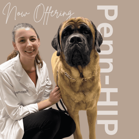 Safe Harbor Animal Hospital
