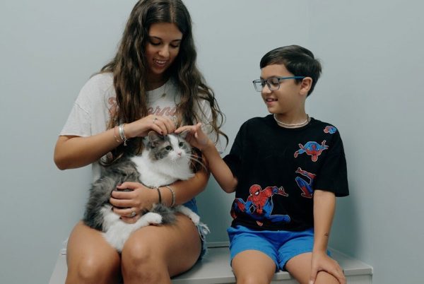 Pre-Adoption Vet Consult | Safe Harbor Animal Hospital SC